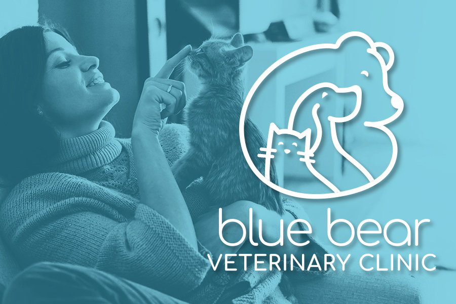 Veterinary Senior Services in Park Row, TX - Blue Bear Veterinary Clinic
